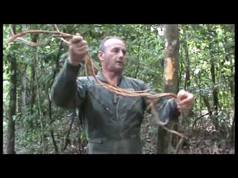 CONSTRUCCION DE UN REFUGIO | Soy SCOUT