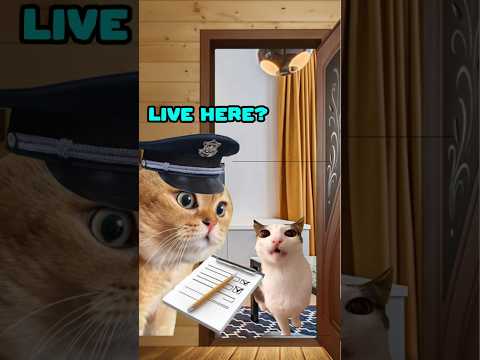 How Many People Live Here 🤔 || Cat Memes #shorts sounds:@NutshellAnimations