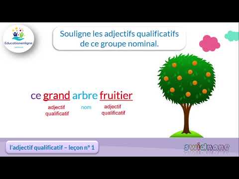 l'adjectif qualificatif - leçon n°1