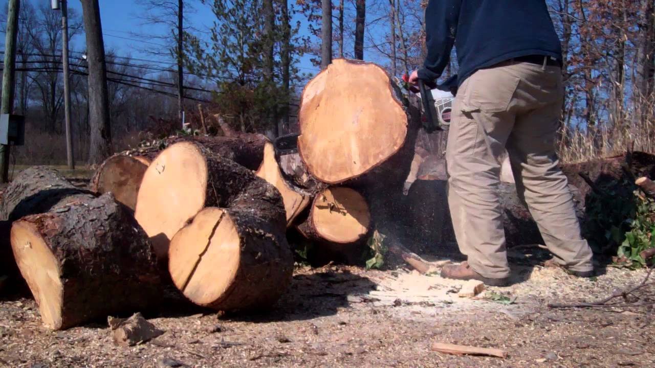 echo cs670 in pine