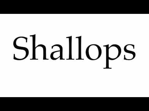 How to Pronounce Shallops