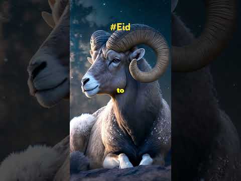 Eid al-Adha Explained in 50 Seconds #eidmubarak #eid #islamicshorts #muslim