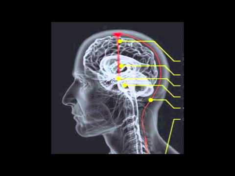 Wiz Rhymes - Drug Influenced Confusion
