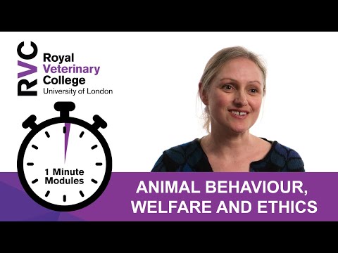 RVC 1 Minute Modules - Animal Behaviour, Welfare and Ethics