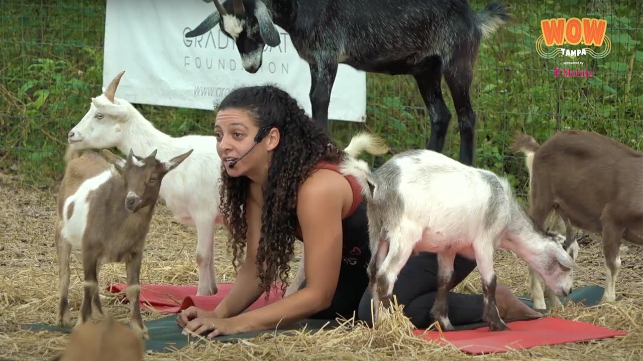 Goat Yoga with Grady Goat Foundation (W.O.W Tampa)