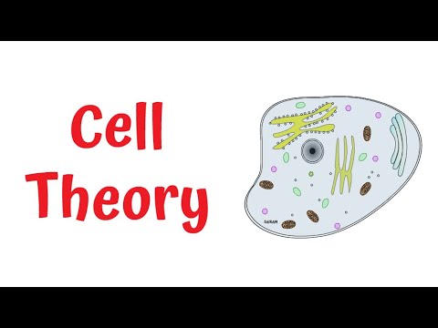 The History of Cell Theory #cell theory #cell #microscope #history