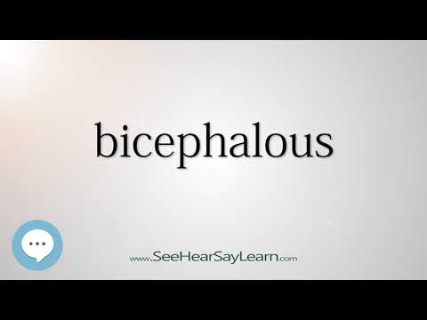 bicephalous
