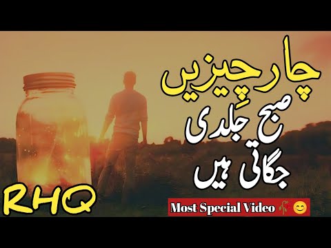 Golden Words In Urdu | Quotes About Allah In Urdu | Islamic Quotes By Rahe Haq Quotes