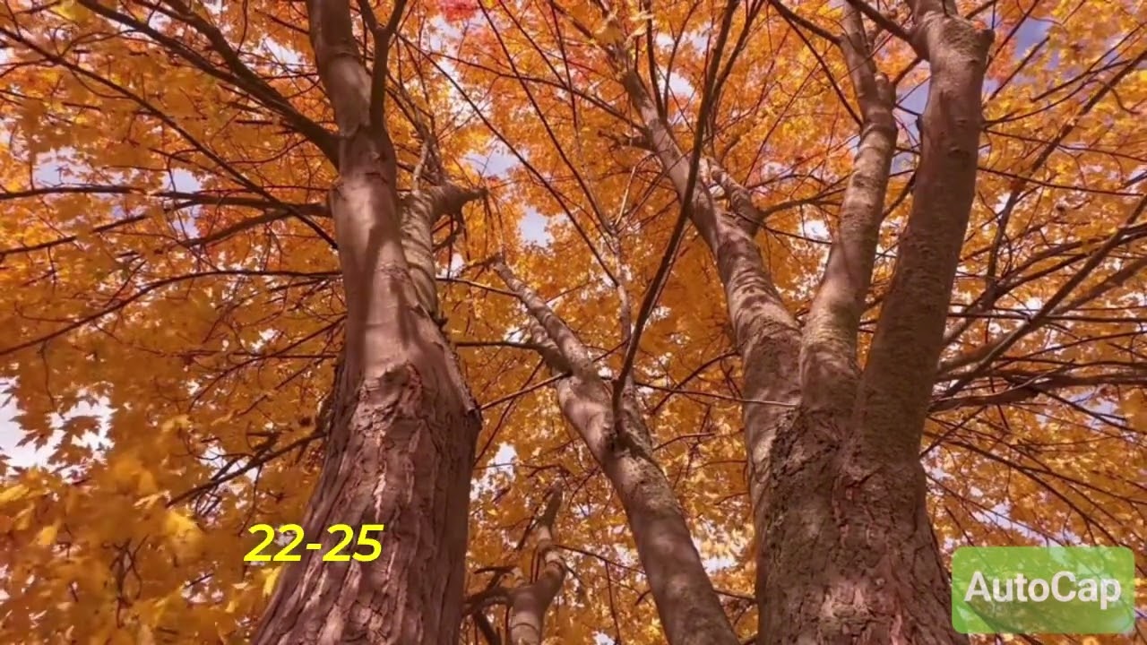 Bible verses about obedience that unlock miracles