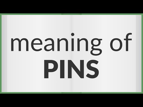 Pins | meaning of Pins