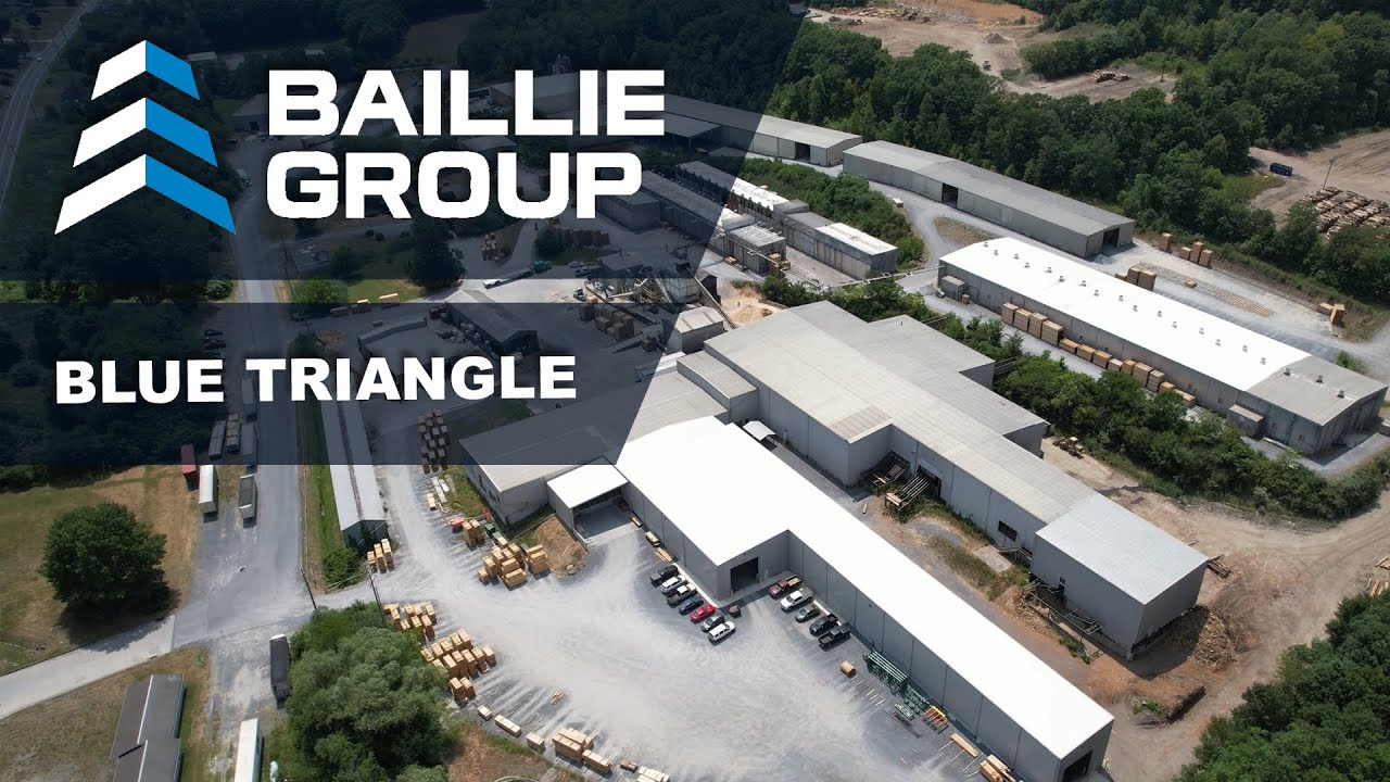 Blue Triangle Hardwoods 2024 Promotional Overview Video