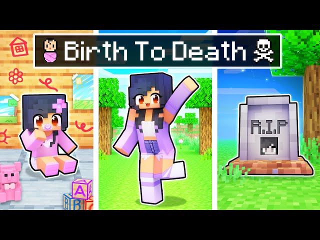 5 best Minecraft videos by Aphmau