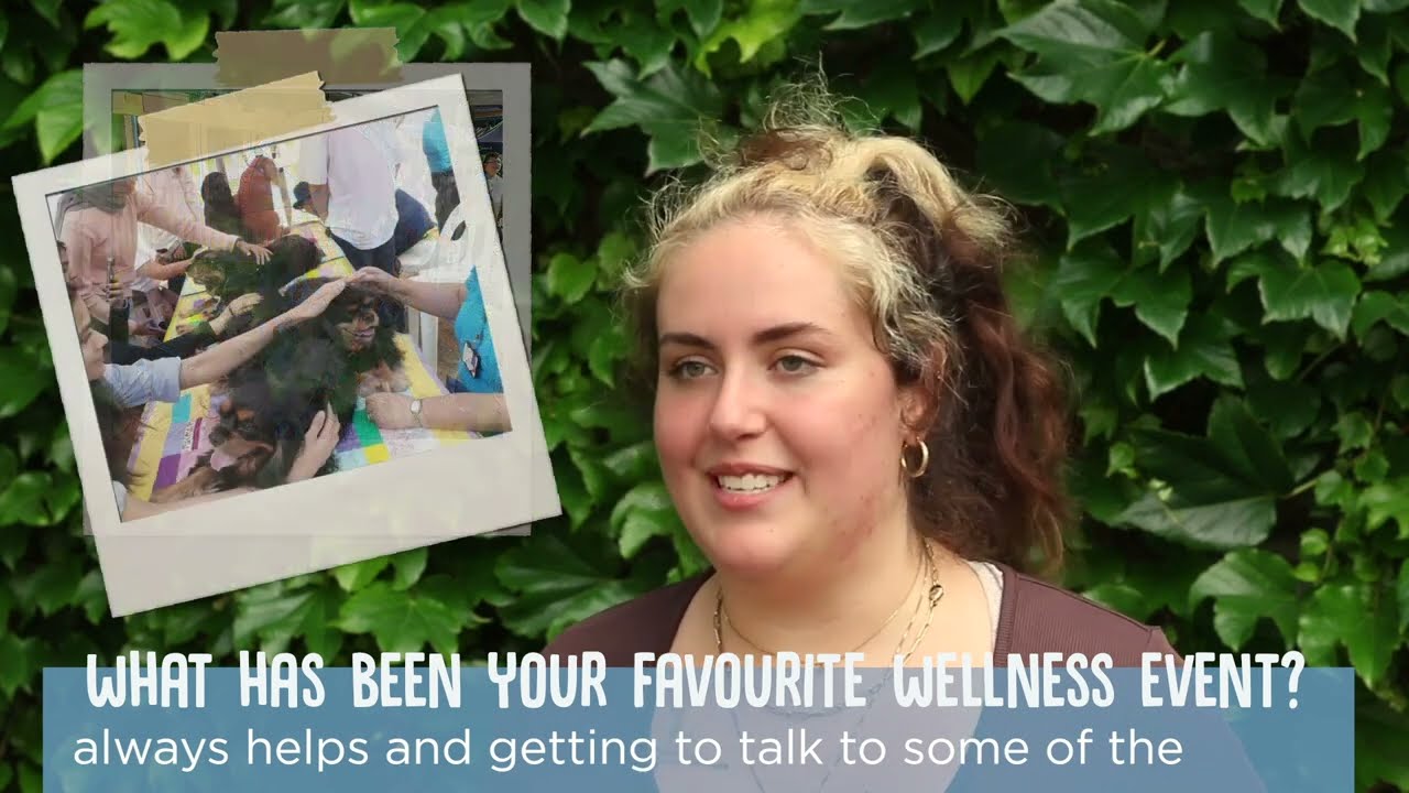 Arc Wellness- About Us