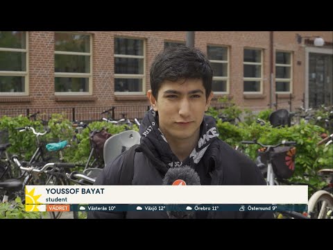Distansundervisningens problem: ”Kunskaperna är frampressade” - Nyhetsmorgon (TV4)