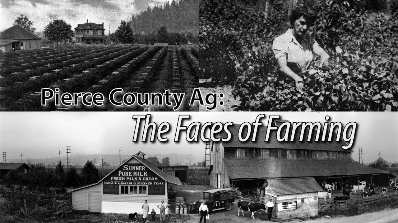Pierce County Ag: The Faces of Farming