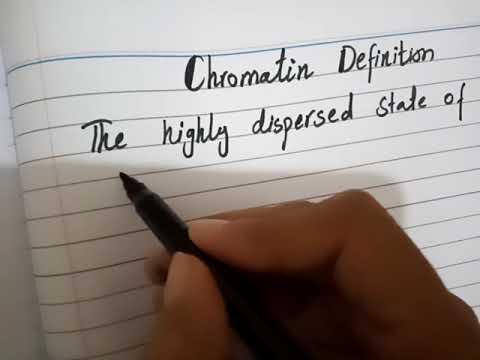 Definition of chromatin