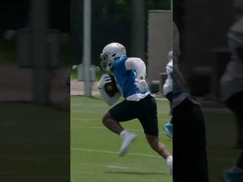 RB Jahmyr Gibbs is fitting right in on the Goffense #minicamp