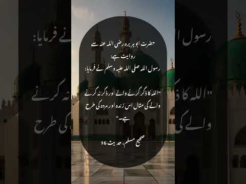 The Remembrance of Allah: The Essence of Life #dhikr #remembrance #allah #islam