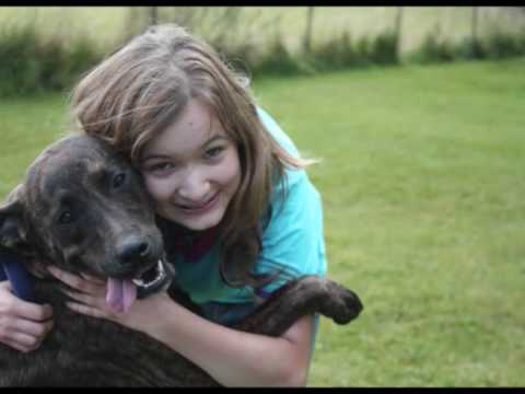 rescue remedies dog rescue