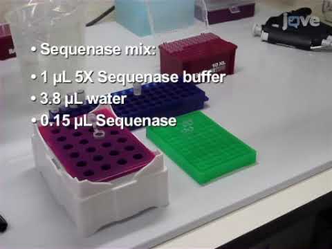 Pan-Viral Microarray Assay (Virochip) enables the detection of viral pathogens in clinical samples