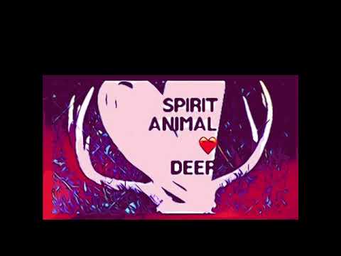 ❤️DEER - SPIRIT ANIMAL- Symbolism & Meaning❤️
