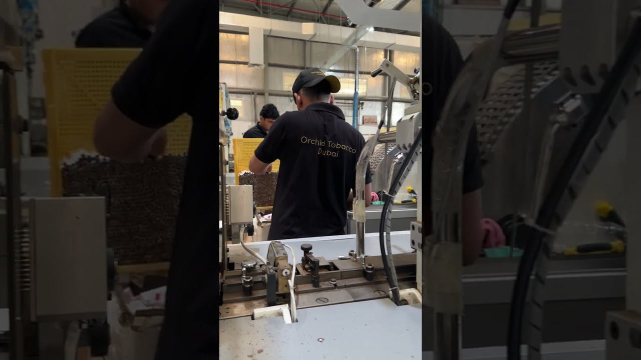 Cigarette Packing Machine HLP 2