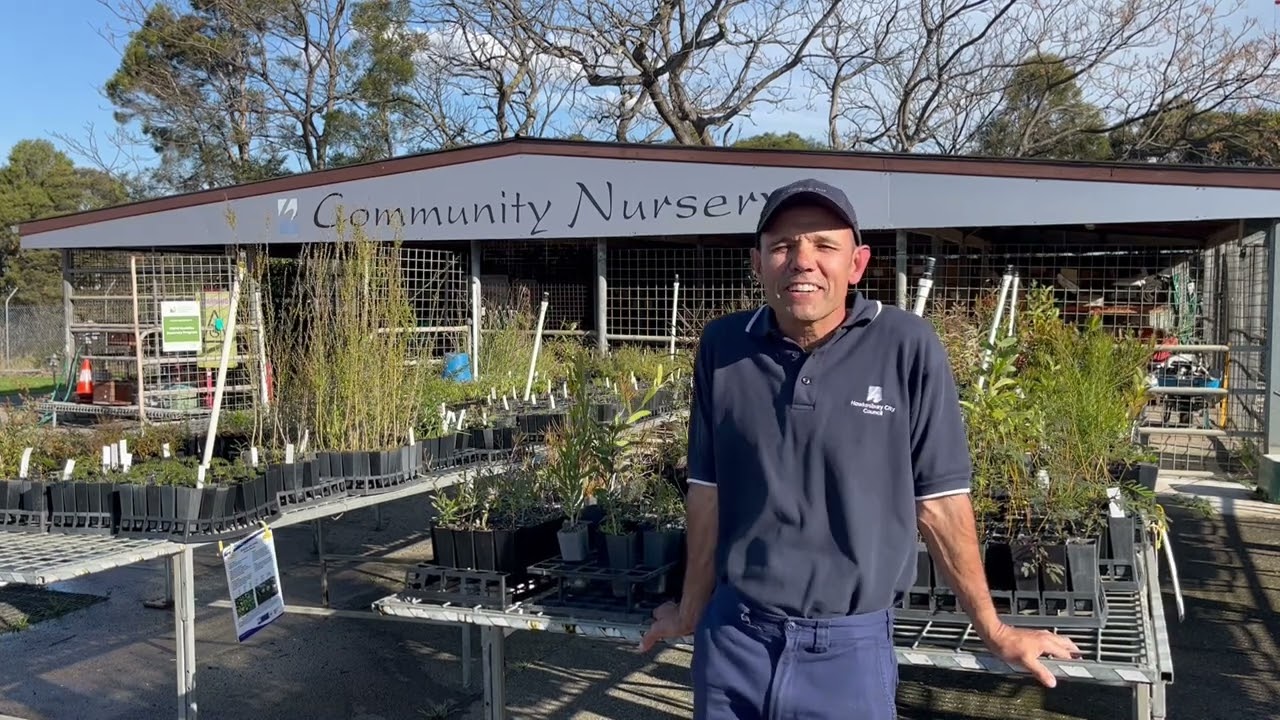 Hawkesbury Community Nursery – Planting Shade Trees and Plants around your home and the Hawkesbury