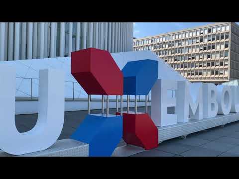 Reclaim Luxembourg Dual Citizenship - Article 89 | LuxCitizenship