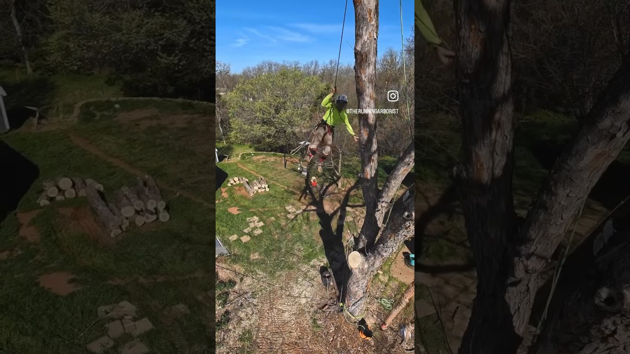 Swinging through life🤘🏼 #arboristlife #arborist #arboristsofinstagram #tree #treeclimbing