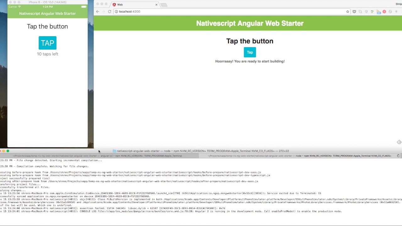 Nativescript Angular Web Starter