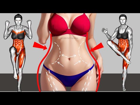 ✅Beginner Weight Loss Workout ➜15 Easy At-Home Exercises to Shrink Stomach Fat Fast