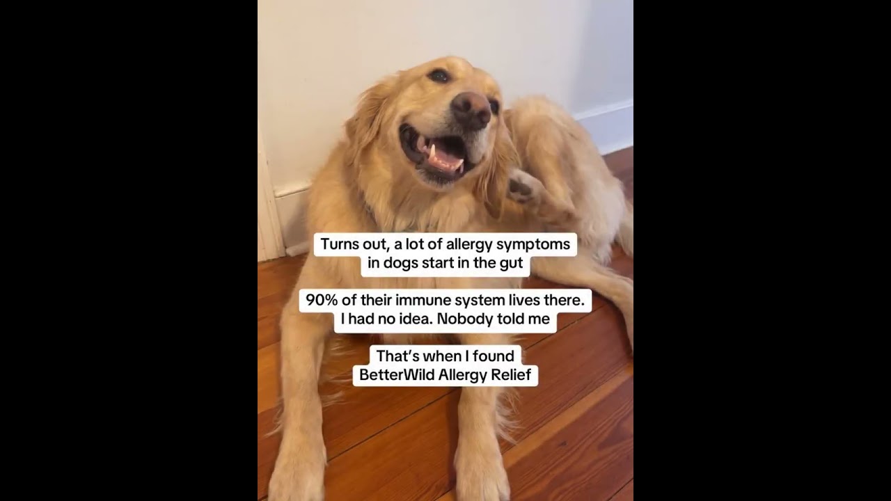 Pay attention to your dog! ❤️🐾 #BetterWild #DogAllergies #DogParent #DogWellness #DogMom 