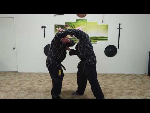 Pinan Shodan movements 27-29