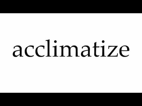 How to Pronounce acclimatize