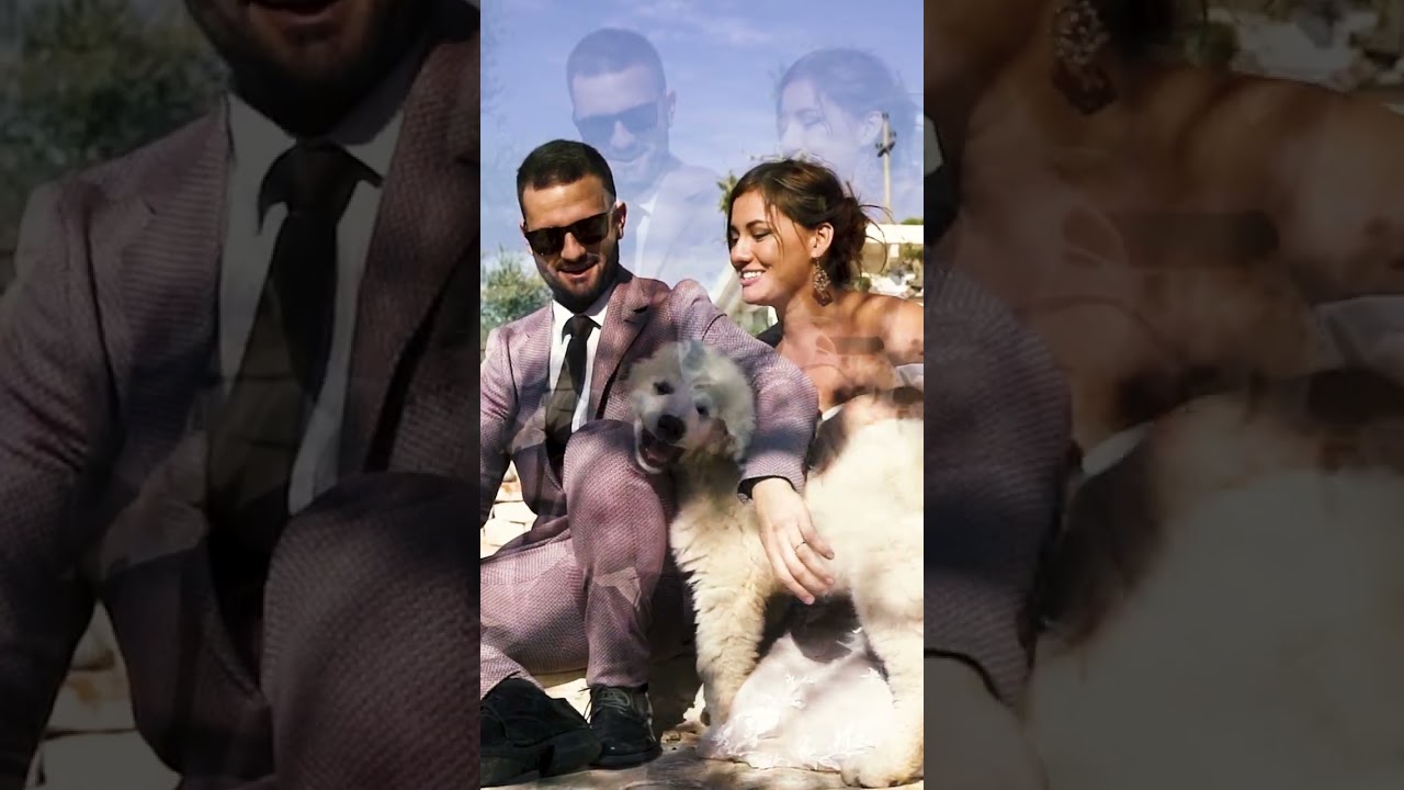 Cinematic wedding video. Dog at the wedding!