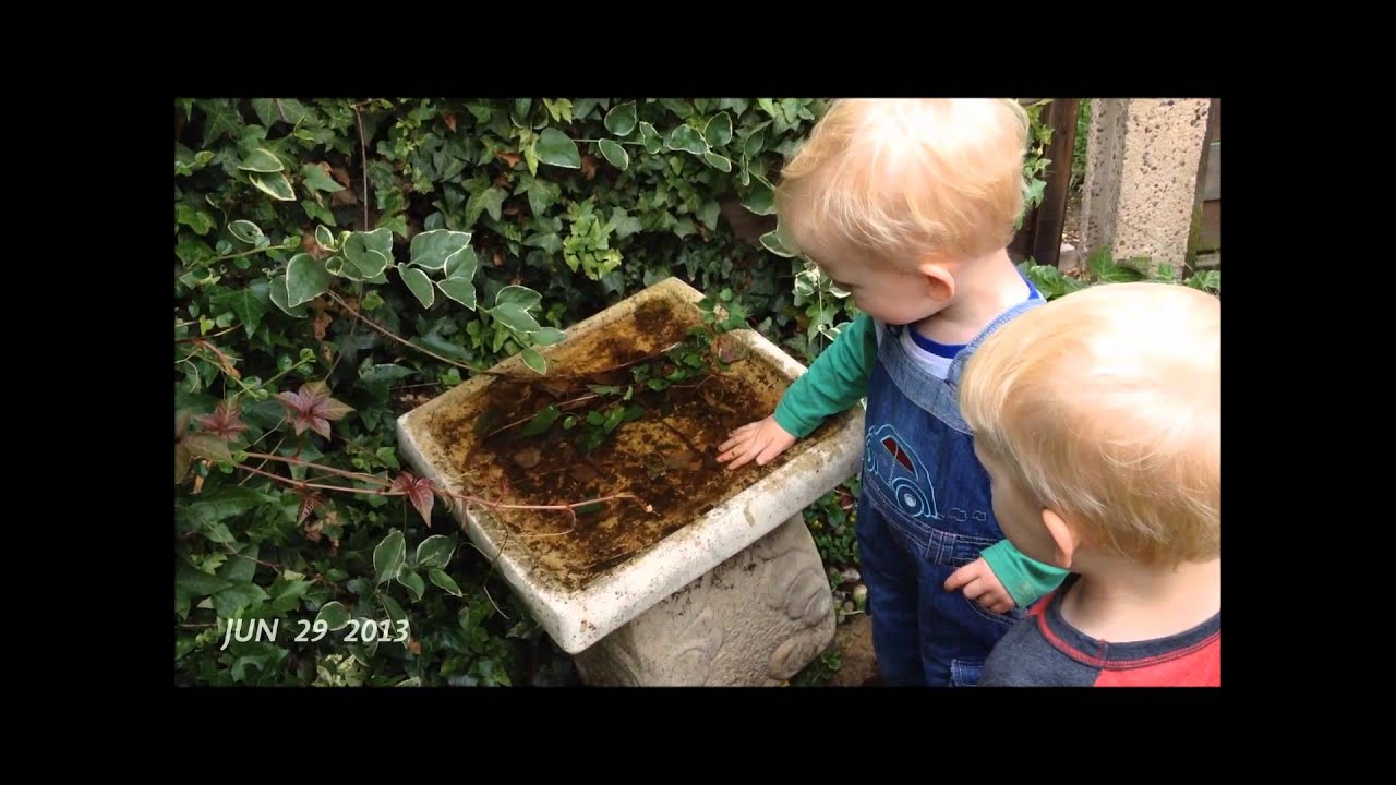 Dad captures his triplets' year ONE SECOND at a time with heartwarming ...