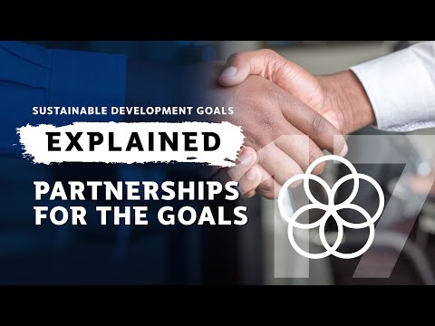 SDGs Explained: #17 Partnerships for the Goals