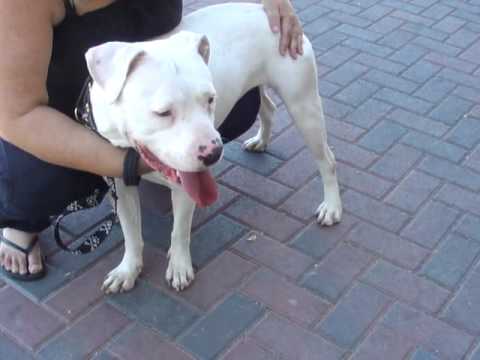lola bio.MP4