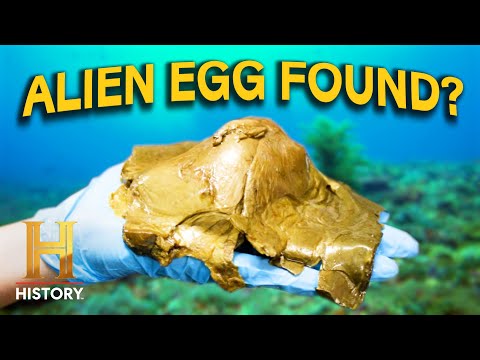 Mysterious Alien Egg Found in Alaska (Season 5) | The Proof Is Out There