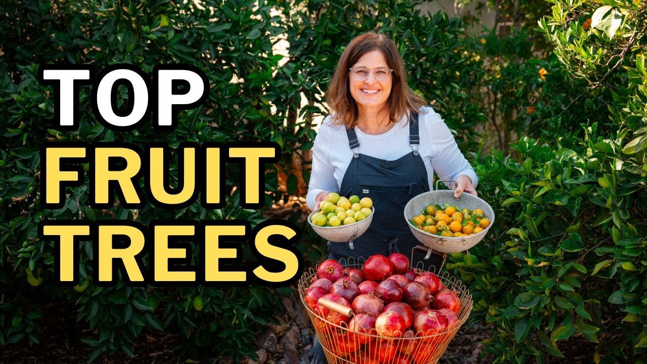 10 FRUIT TREES That Produce in Hot Climates: 3 TO SKIP