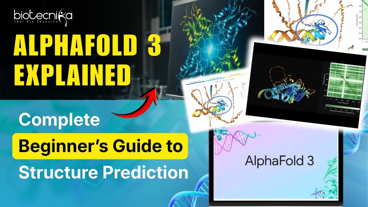 AlphaFold 3 Explained | Complete Beginner’s Guide to Structure Prediction
