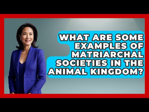 What Are Some Examples of Matriarchal Societies in the Animal Kingdom? | The Wild Life Explorer