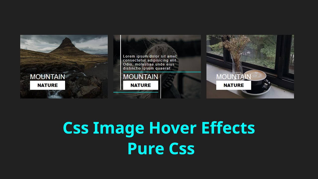 Css Image Hover Effects - Pure Css Tutorial - How To Create Image Hover      Overlay Effects