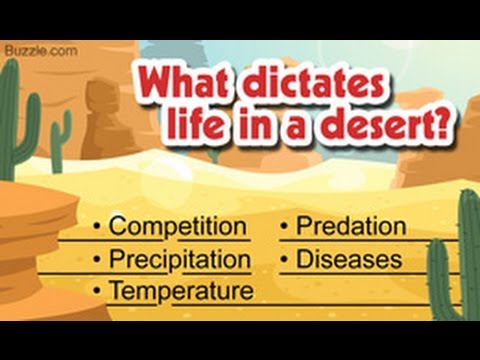 Limiting Factors in the Desert Ecosystem You Really Need to Know