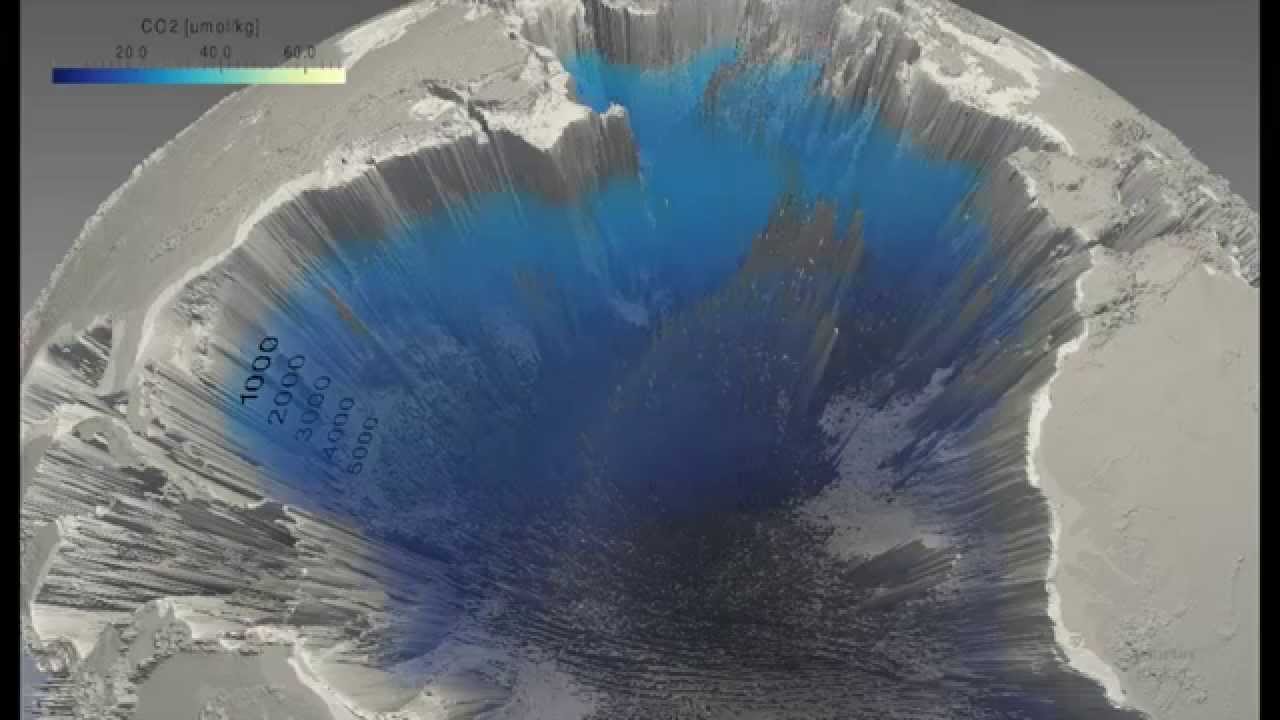 Anthropogenic CO2 in the oceans