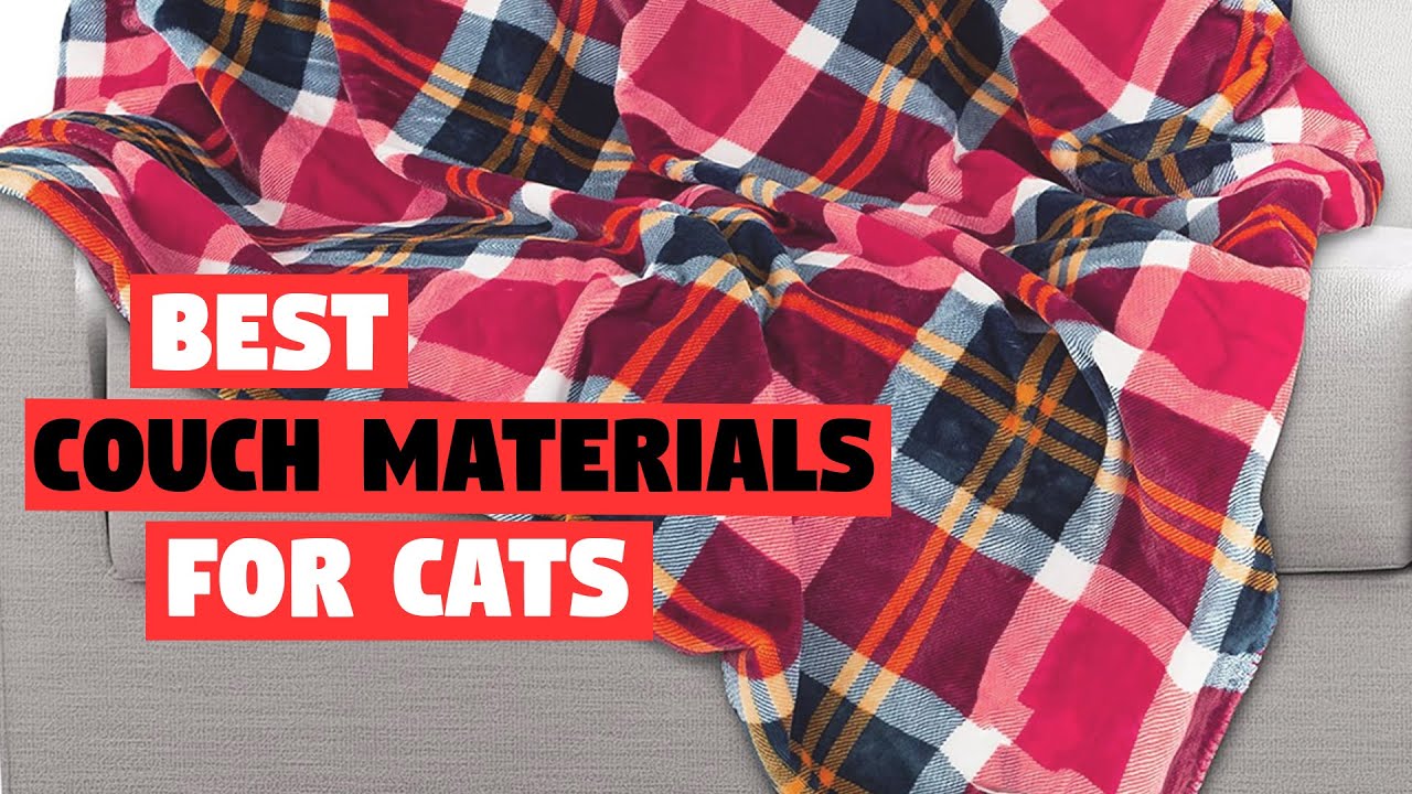 Top 5 Best Couch Materials for Cats in 2023 | Review and Buying Guide