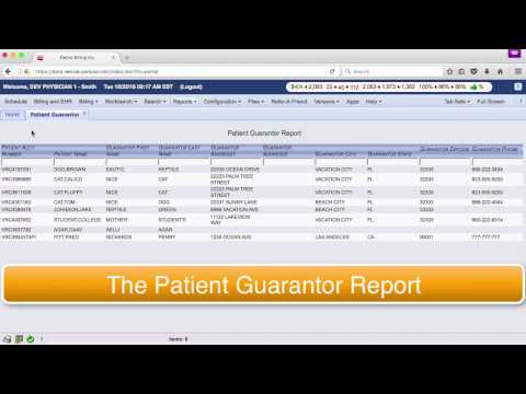 Medical Billing and Practice Management Software | The Patient Guarantor Report
