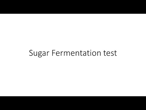 Carbohydrate Fermentation tests – TYBSc Microbiology Practicals 2021-22