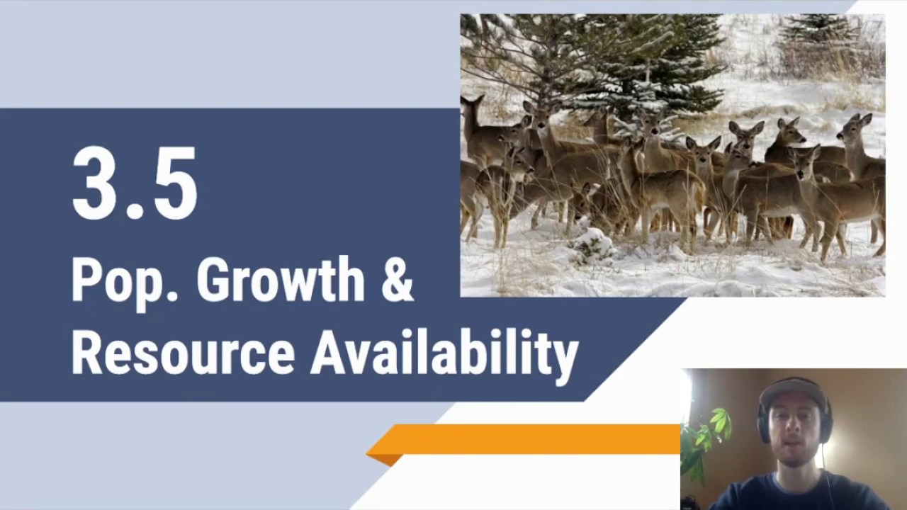 Understanding Population Growth and Resource Availability | Galaxy.ai