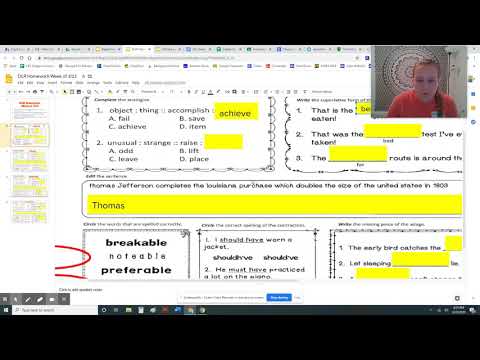 DLR Intro and Monday 3/23 DLR Quick Lesson (Richard)